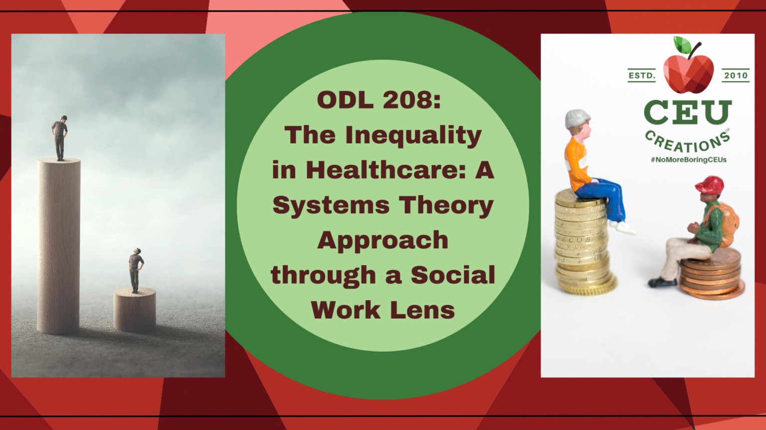 Odl 208 The Inequality In Healthcare A Systems Theory Approach Through A Social Work Lens